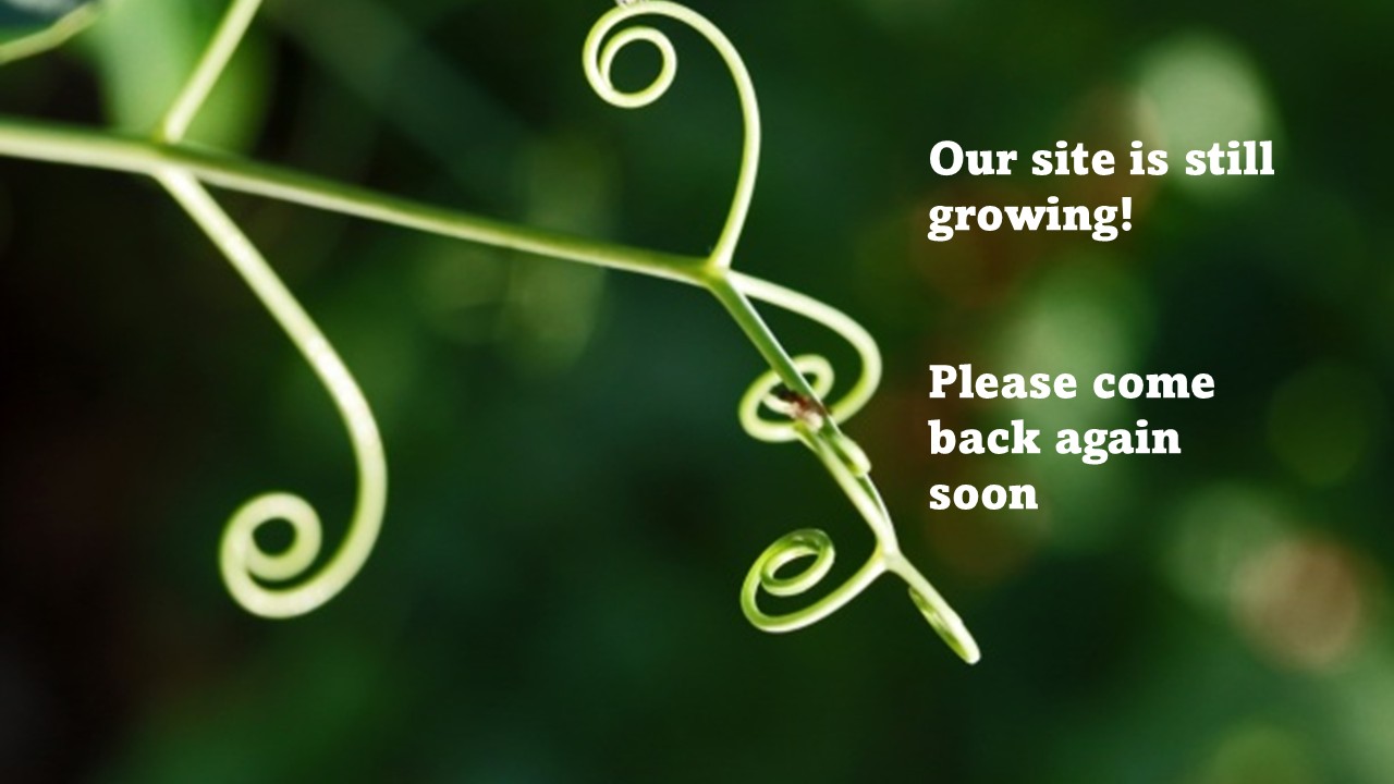 Toronto Urban Growers – Grow local. Grow livable, sustainable and just ...